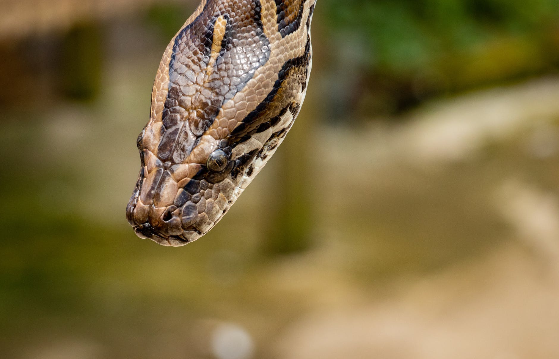 SD Times news digest: Python in Visual Studio Code - September 2021 ...